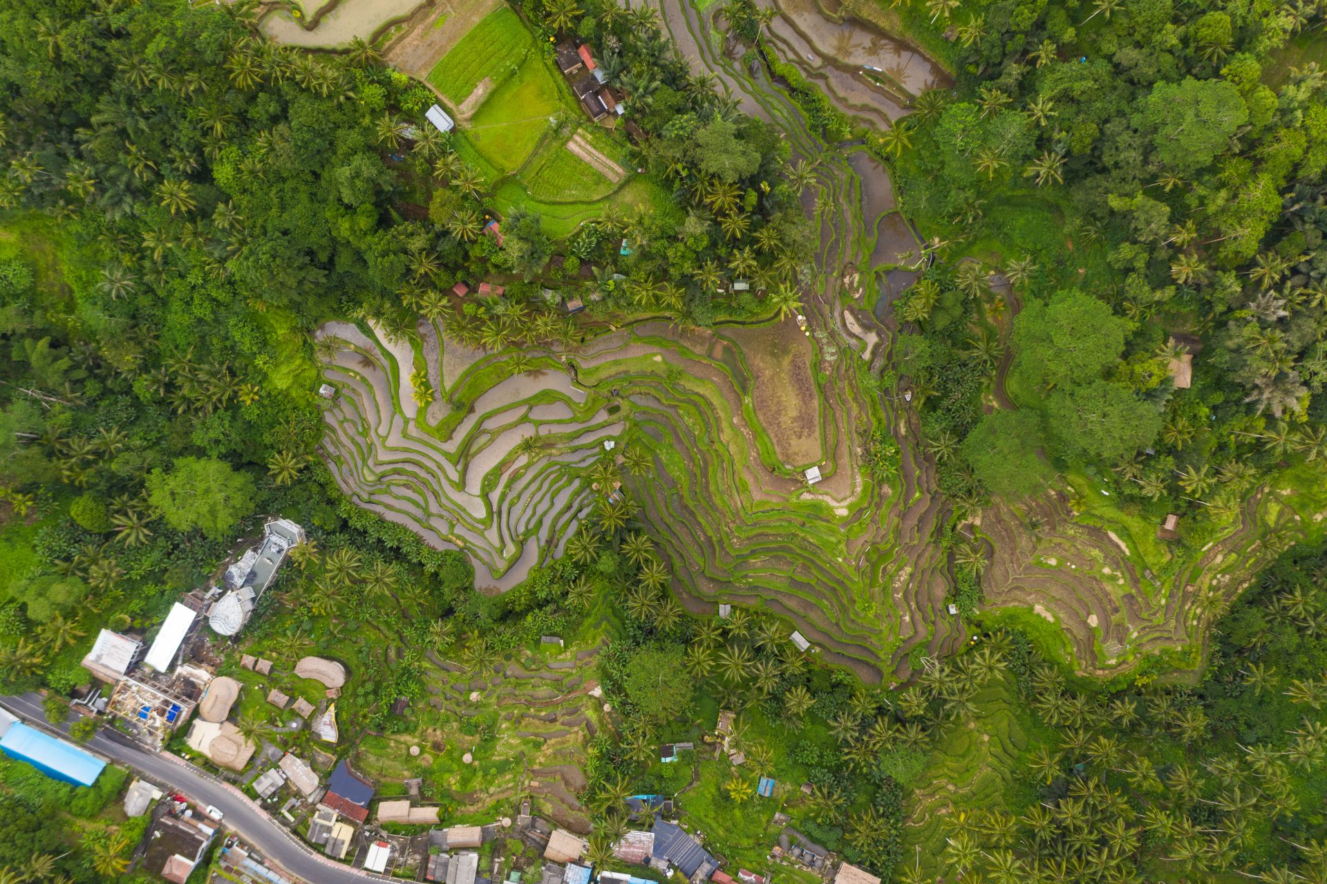 Terrain & Environmental Mapping – Birdscale Technology and Services